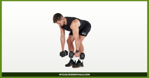 Best Dumbbell Back Exercises