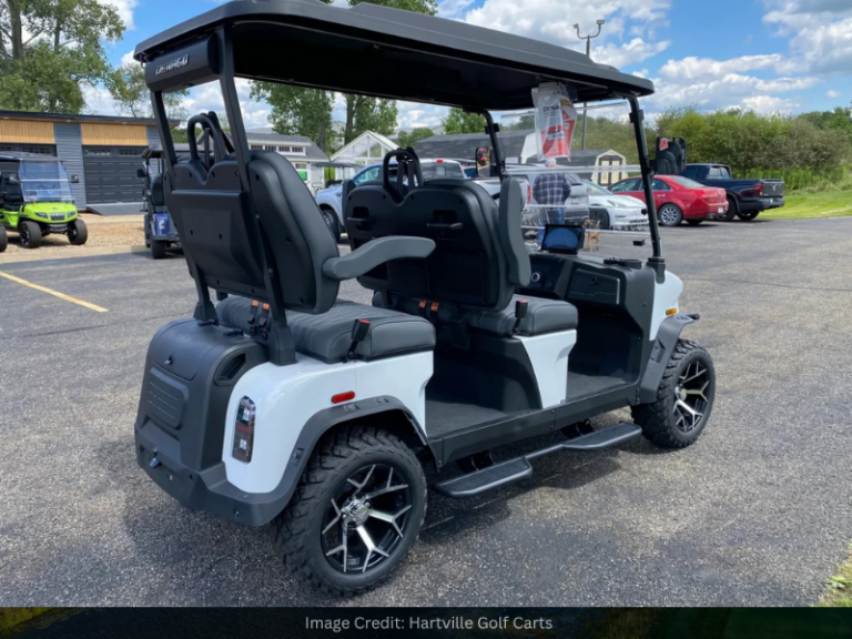 Denago Golf Carts Review: Quality and Performance